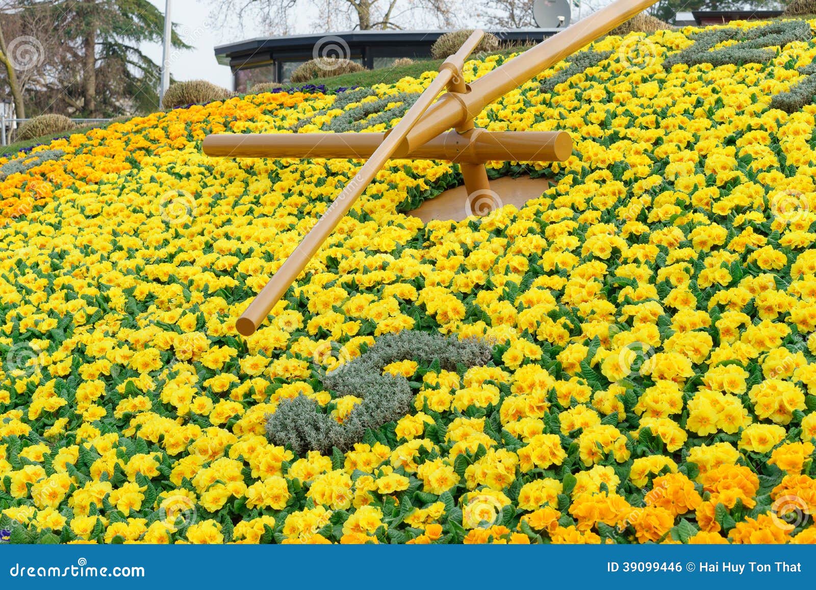 Reloj De La Flor De Ginebra Foto de archivo - Imagen de vacaciones ...