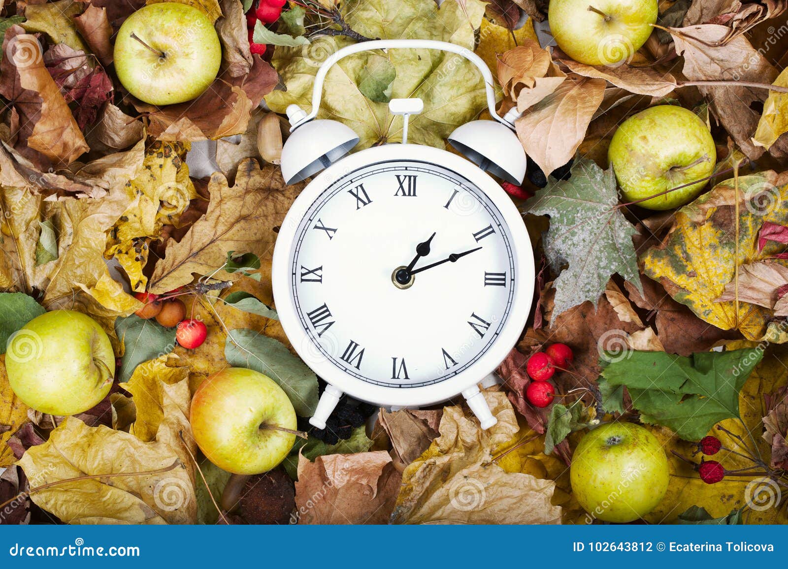 Reloj Del Vintage En Las Hojas Secas Foto de archivo - Imagen de reloj ...
