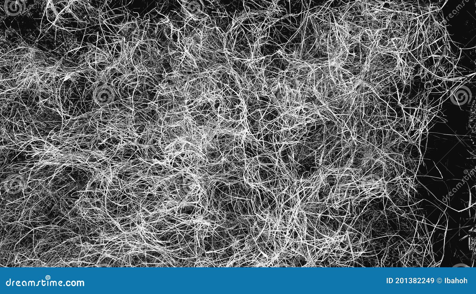 Relva seca branca e preta. imagem de stock. Imagem de jardim - 201382249