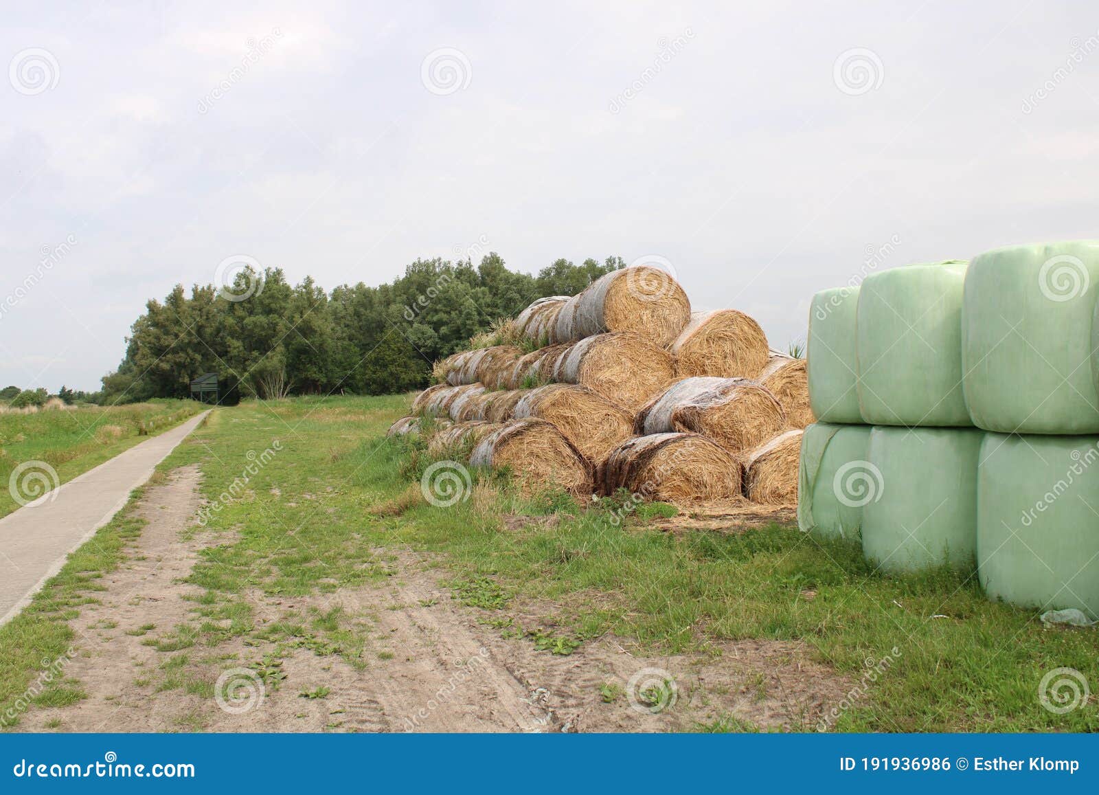 Relva Seca Enrolada Do Lado Da Estrada Foto de Stock - Imagem de ...