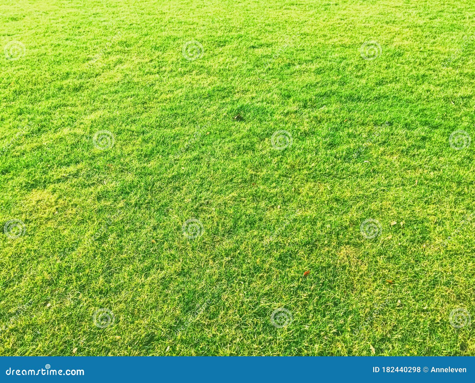 Relva verde como fundo foto de stock. Imagem de turfa - 182440298