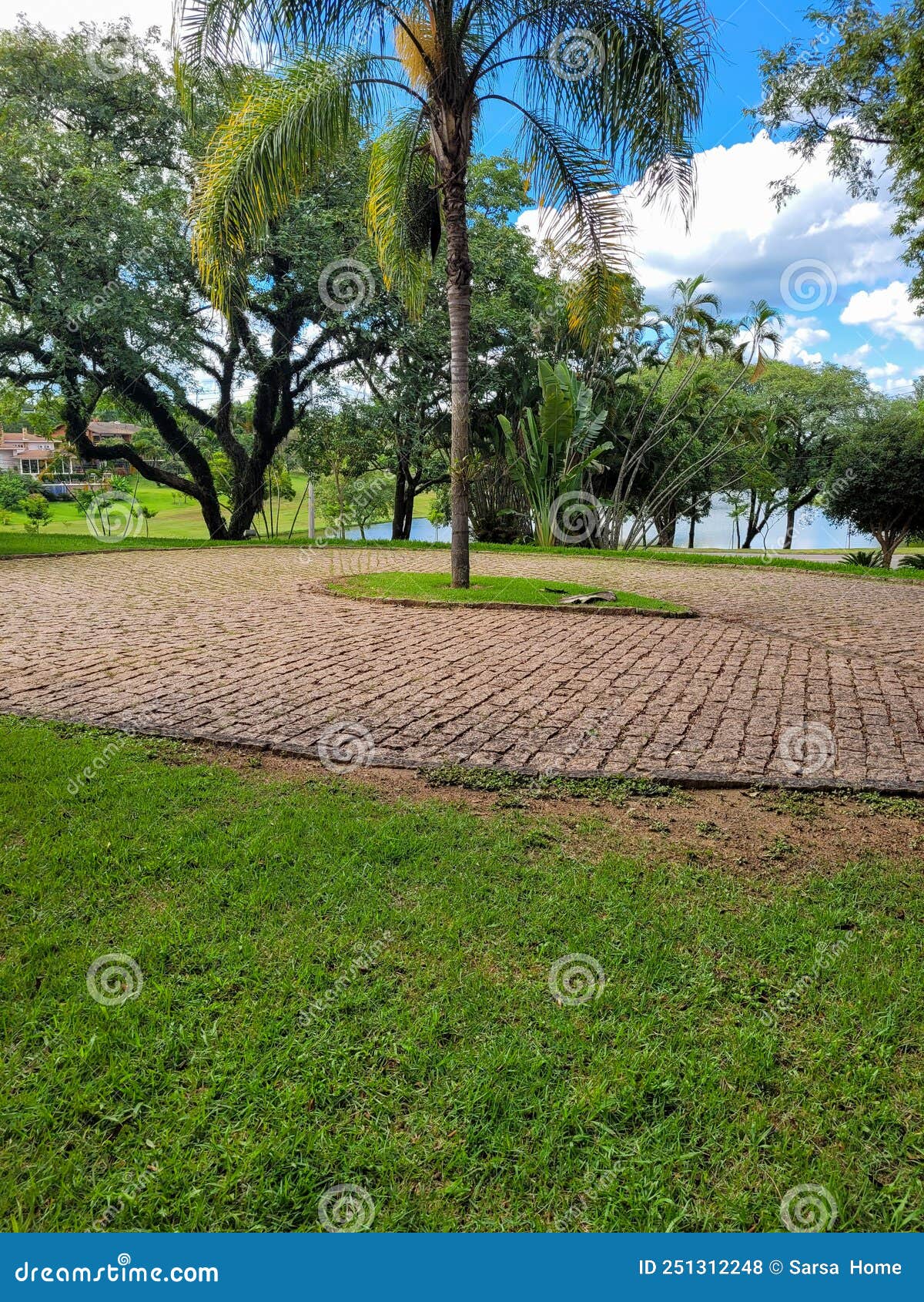 Relva verde em brasil foto de stock. Imagem de ecologia - 251312248