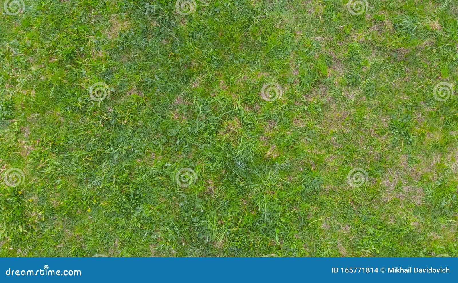 Relva Verde No Campo Ver a Partir De Cima Foto de Stock - Imagem de ...