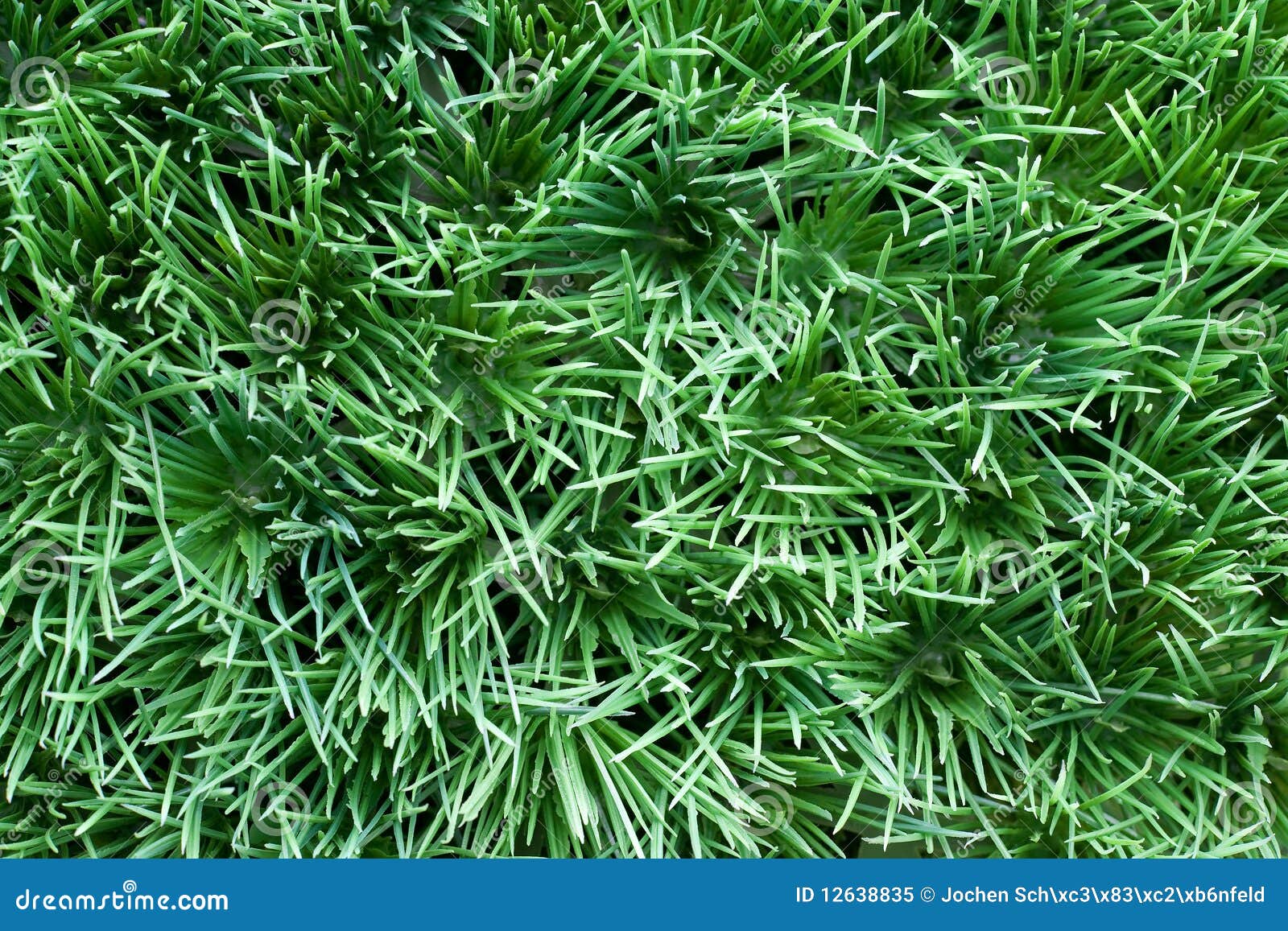 Relvado artificial imagem de stock. Imagem de grama, gràfica - 12638835