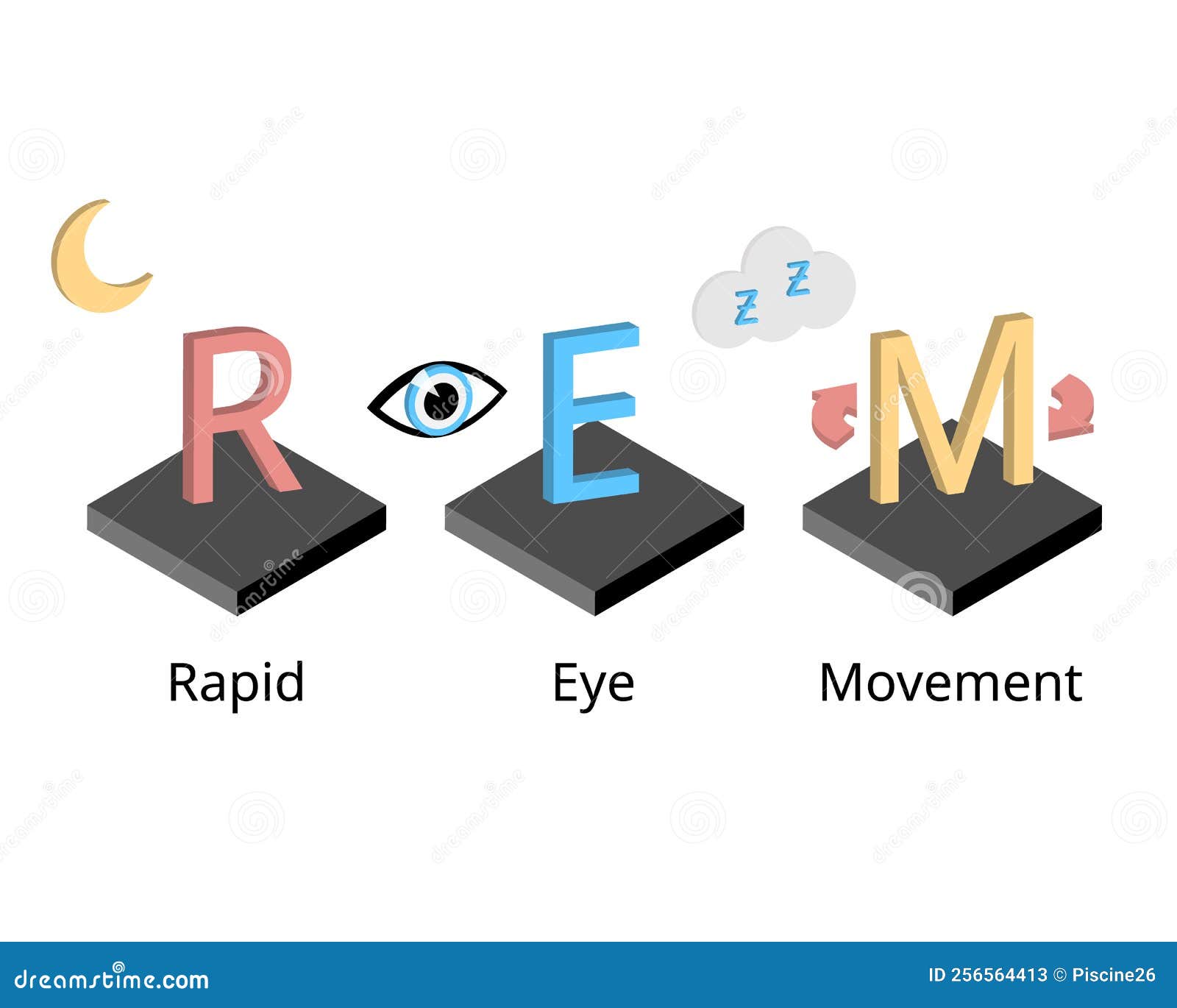 REM or Rapid Eye Movement in Sleep Circle Which is the Sleep Stage that ...