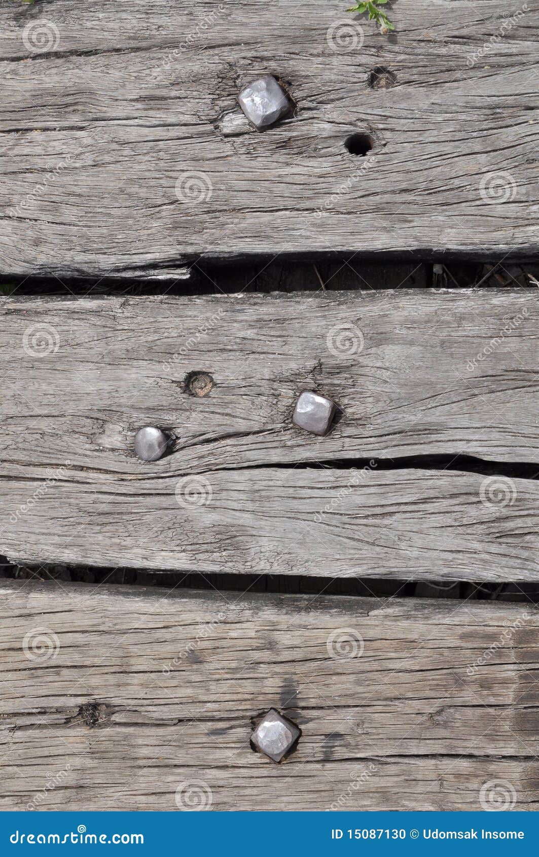 Remache en de madera viejo foto de archivo. Imagen de hoja - 15087130