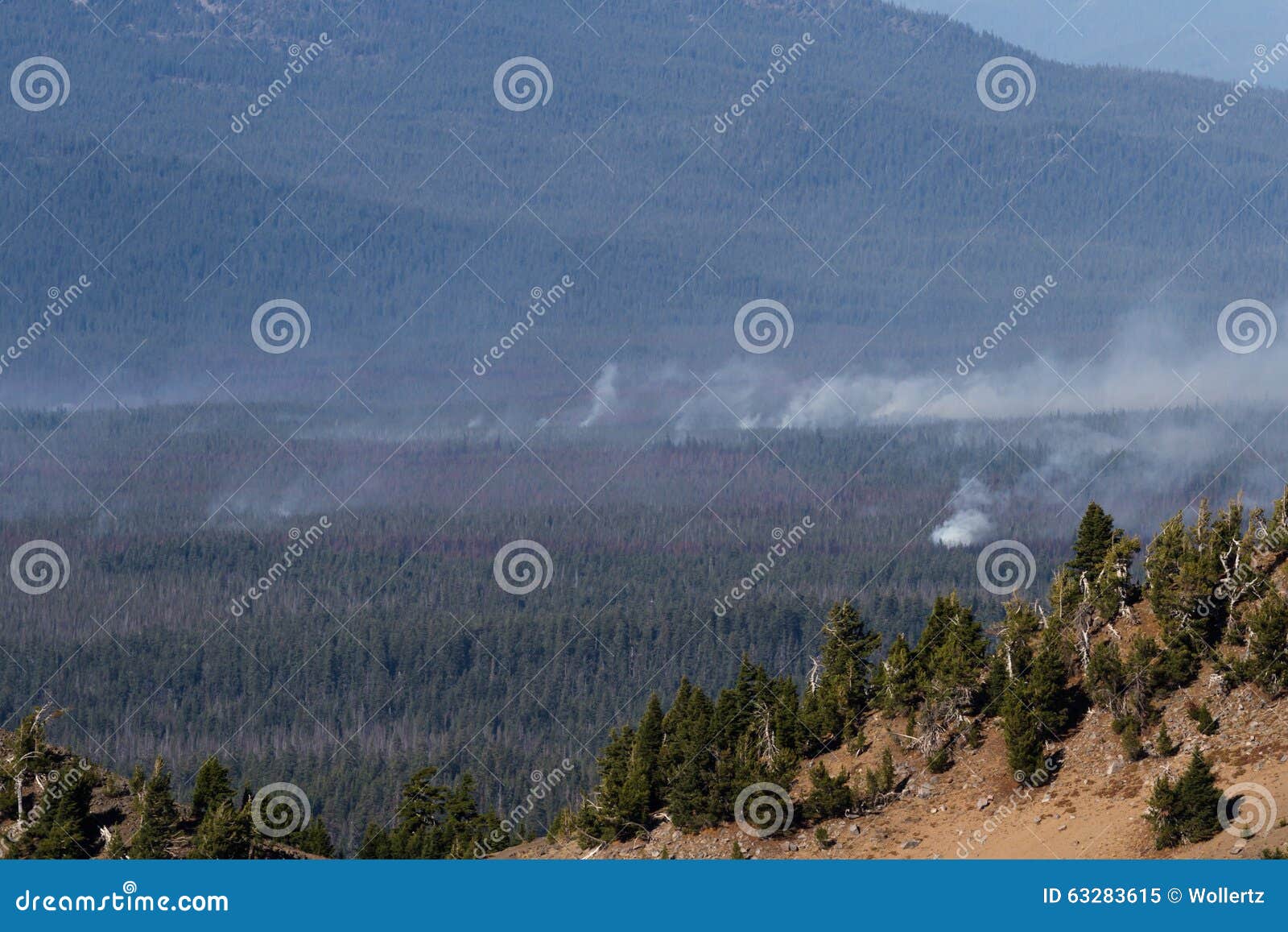 Remaining Hot Spots from a Wild Fire Stock Image - Image of mountain ...