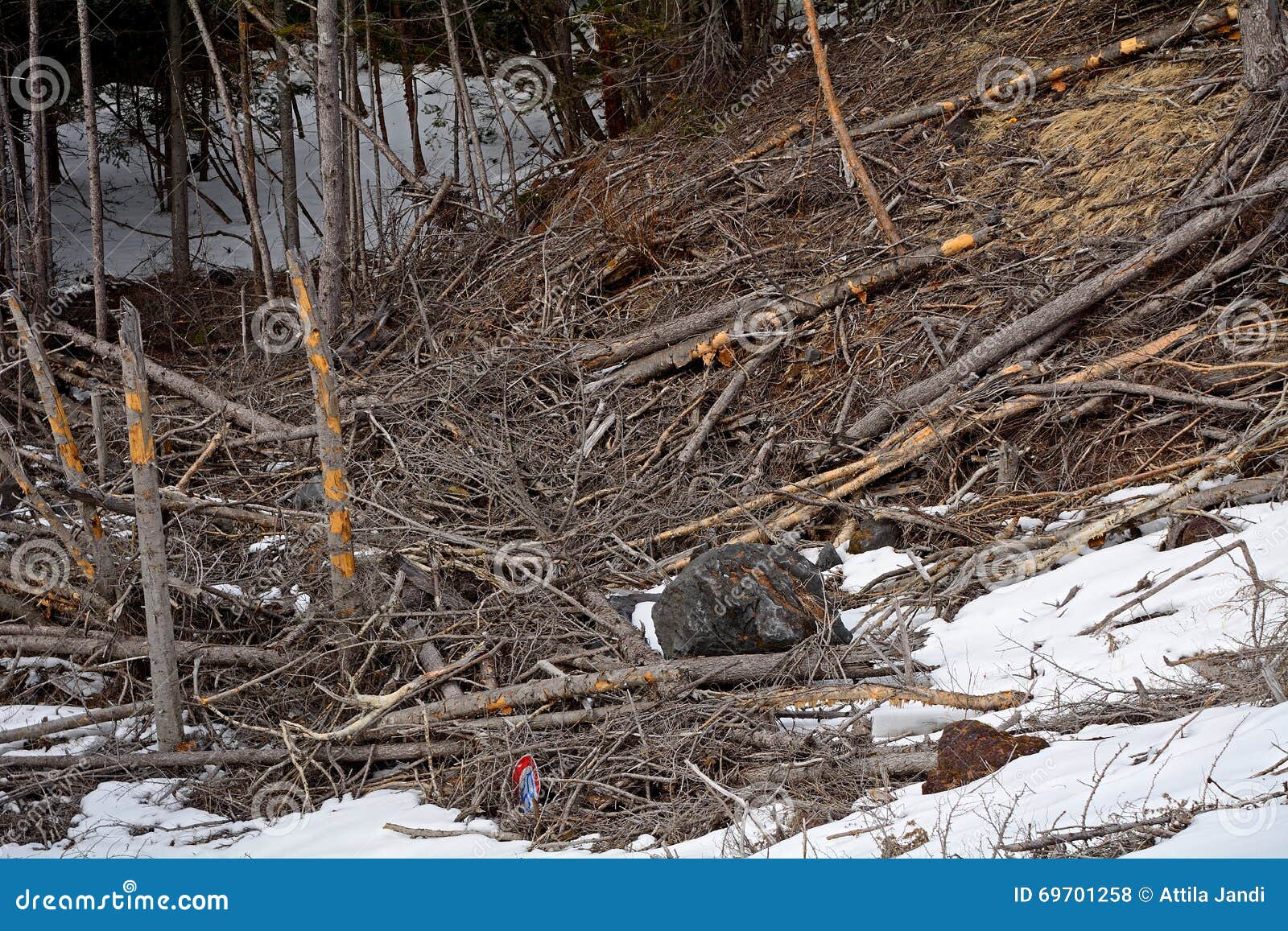 Remains of an Avalanche on the Slopes of Mt. Fuji, Japan Stock Photo ...