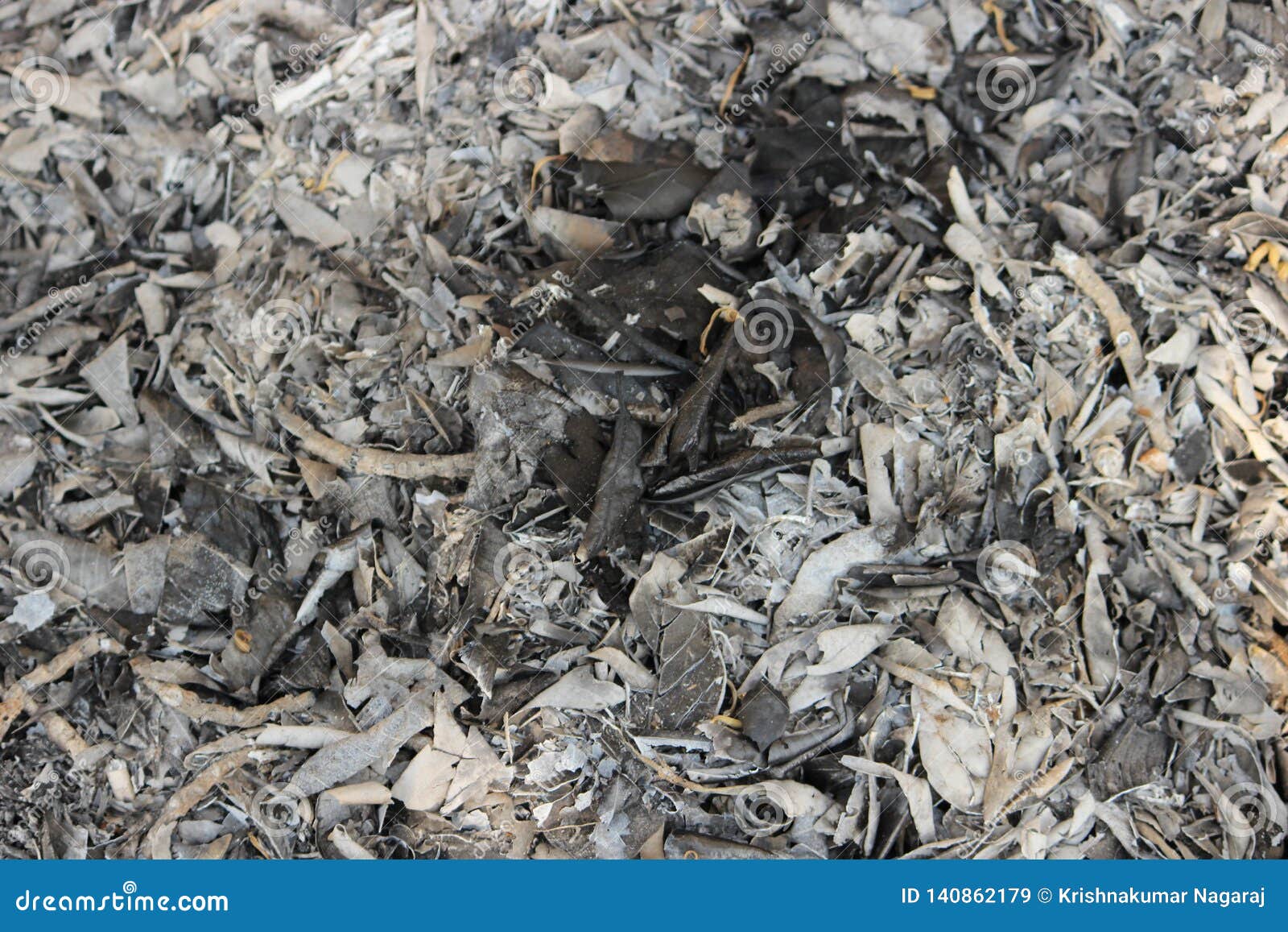Burned leaves stock image. Image of leaves, background - 140862179