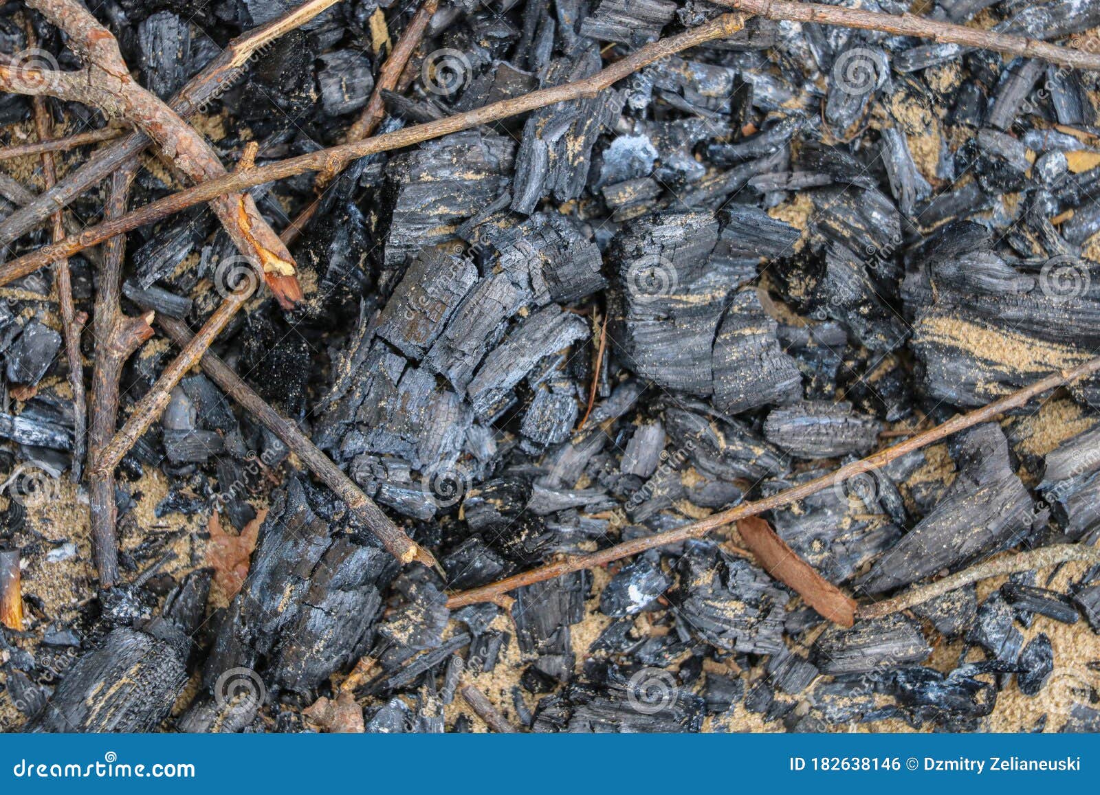 The Remains of a Burnt Tree after a Fire. Extinct Fire Stock Photo ...