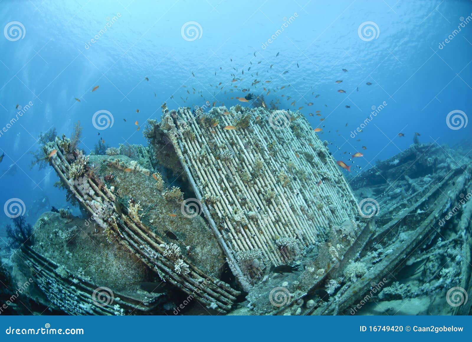 Remains of the Cargo of a Shipwreck. Stock Photo - Image of dive ...