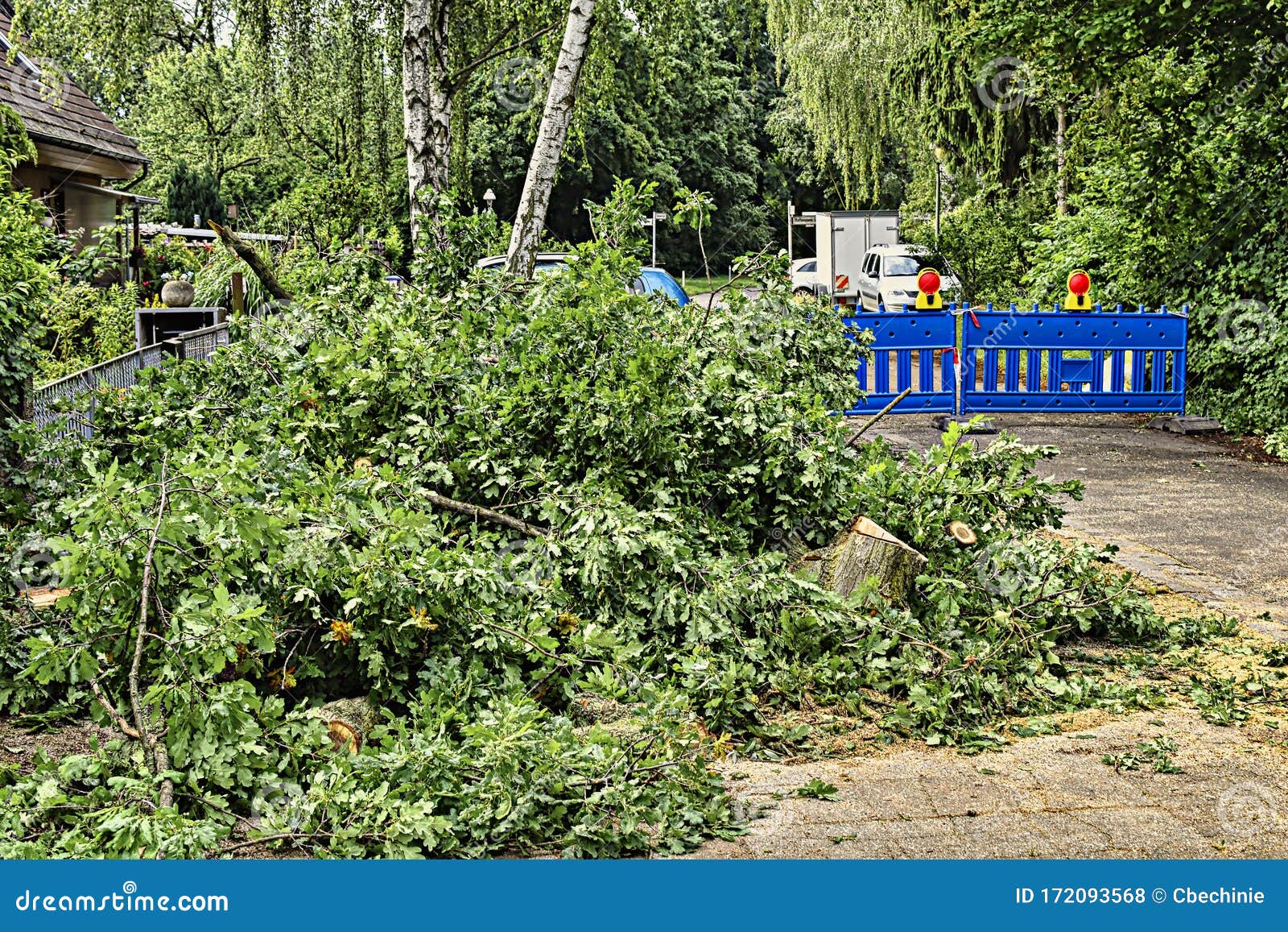 The Remains of a Fallen Tree after a Heavy Storm in Berlin, Germany ...