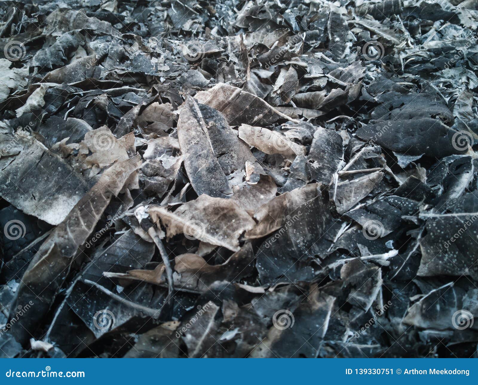The Remains of Fire, Leaf Debris and Grass Debris Stock Image - Image ...