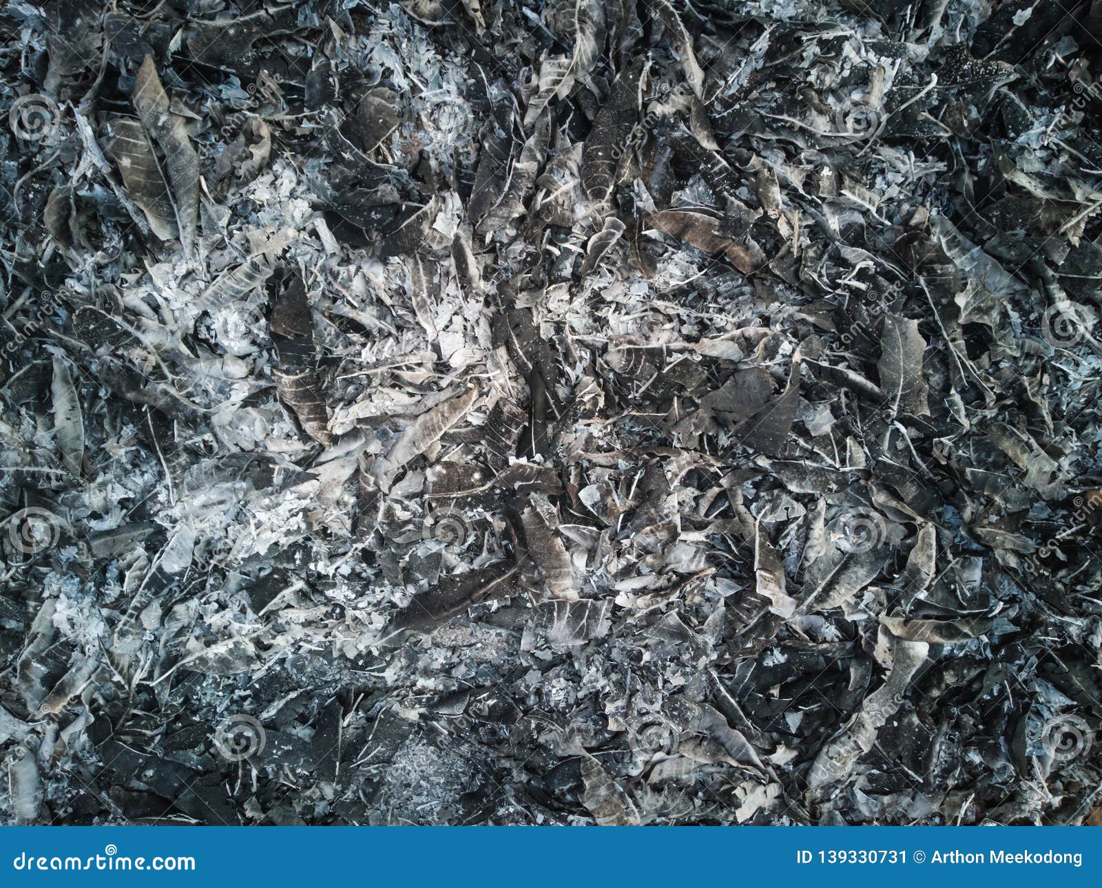 The Remains of Fire, Leaf Debris and Grass Debris Stock Image - Image ...
