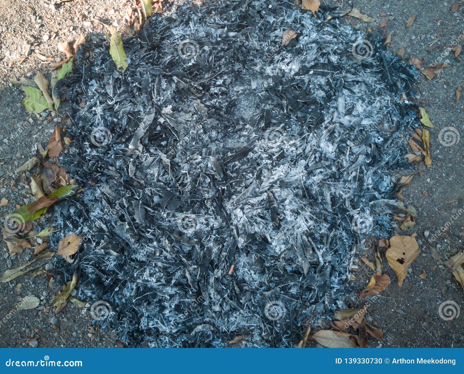 The Remains of Fire, Leaf Debris and Grass Debris Stock Photo - Image ...