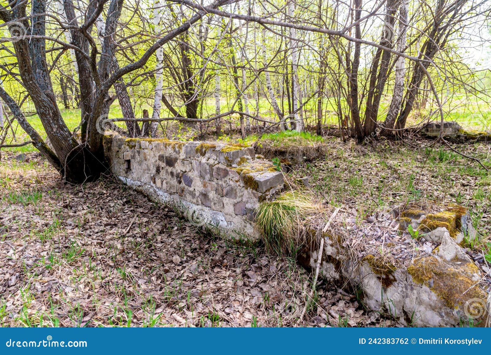 Remains of the Foundation of an Abandoned and Destroyed Old Structure ...