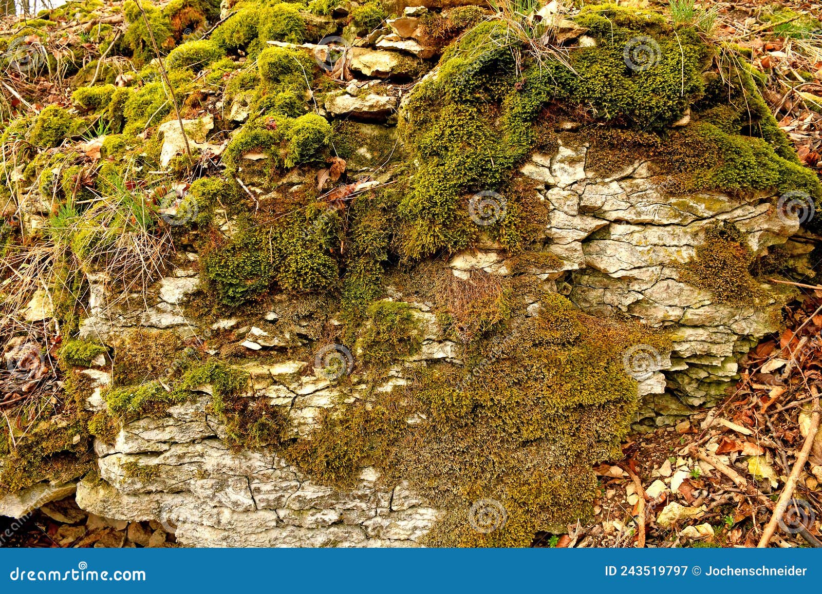 Remains of a Medieval Castle in Germany Stock Image - Image of berneck ...