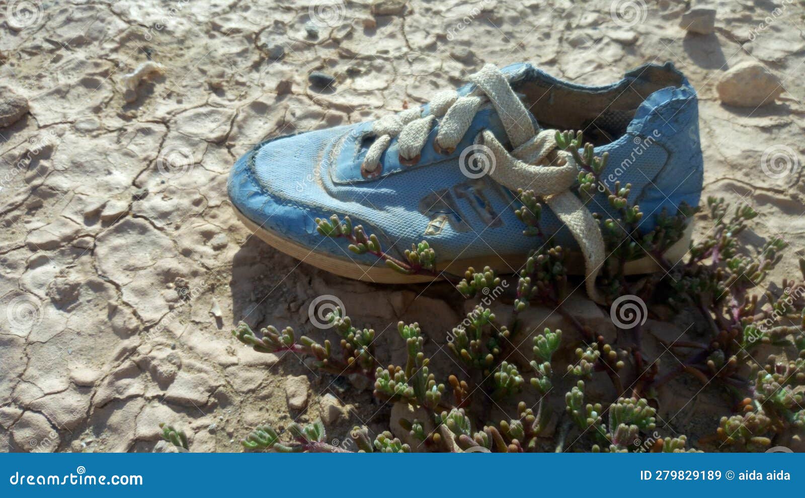 Remains of Old Shoes before Decomposition by Stripping Agents Stock ...