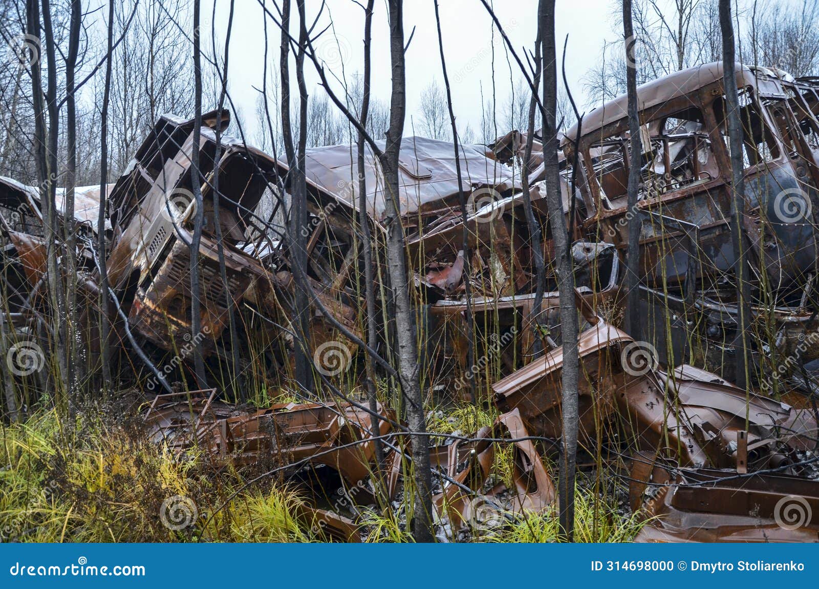 The Remains of Rusty Soviet Cars and Buses in a Scrap Metal Dump Stock ...