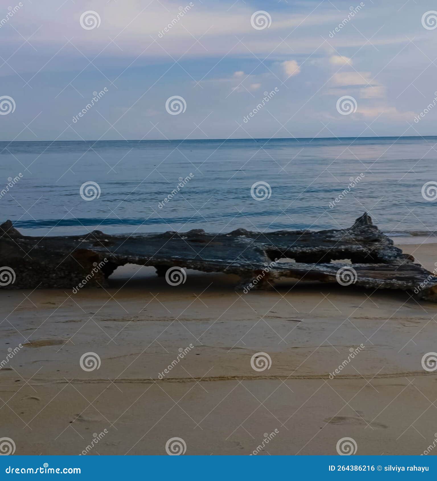 The Remains of the Ship S Skeleton at Sea Stock Photo - Image of ...