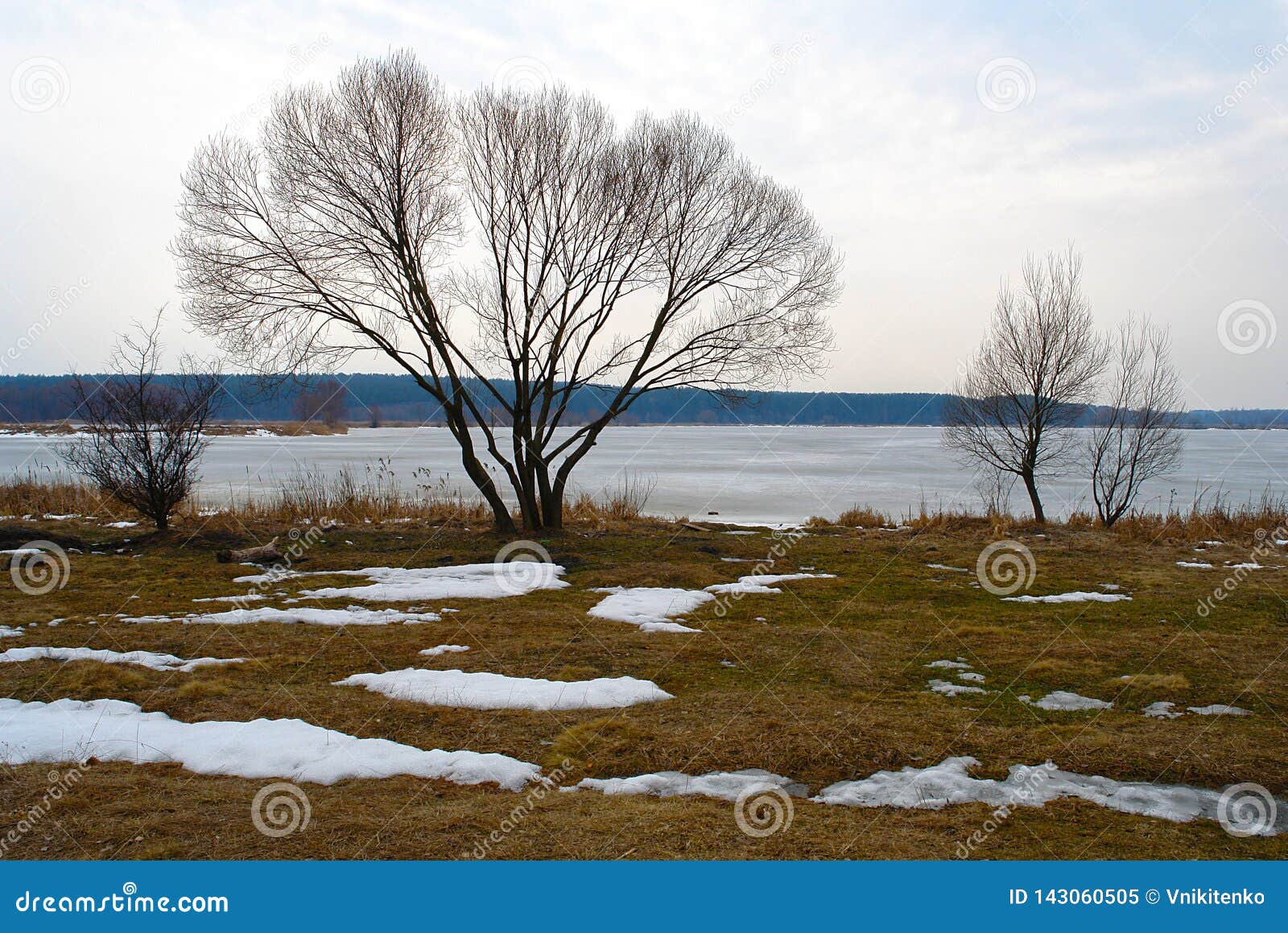 Remains of Snow Cover on the Shore Stock Image - Image of cold, meadow ...