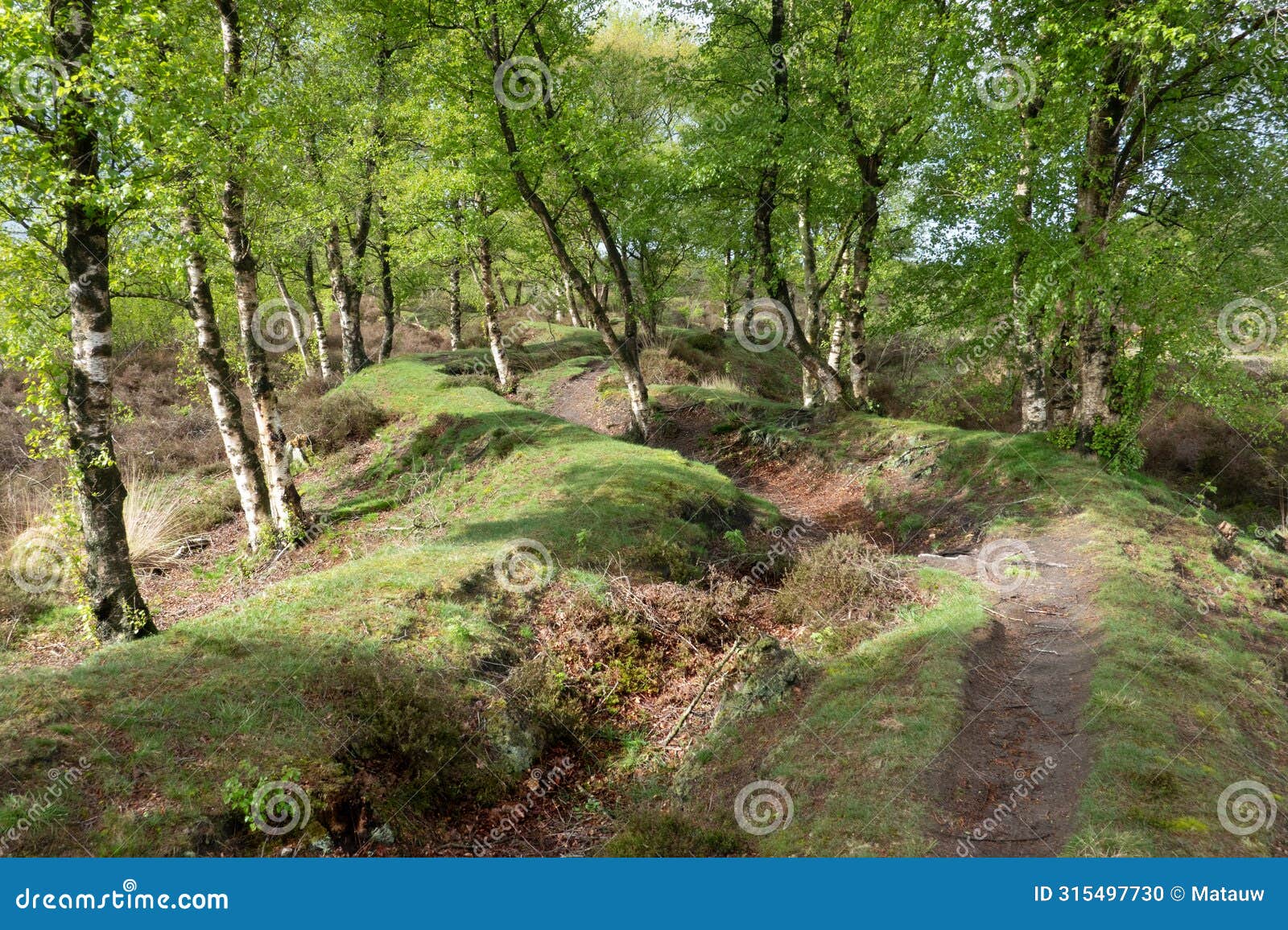 Trench From World War I, Monument, Relic Royalty-Free Stock Photography ...