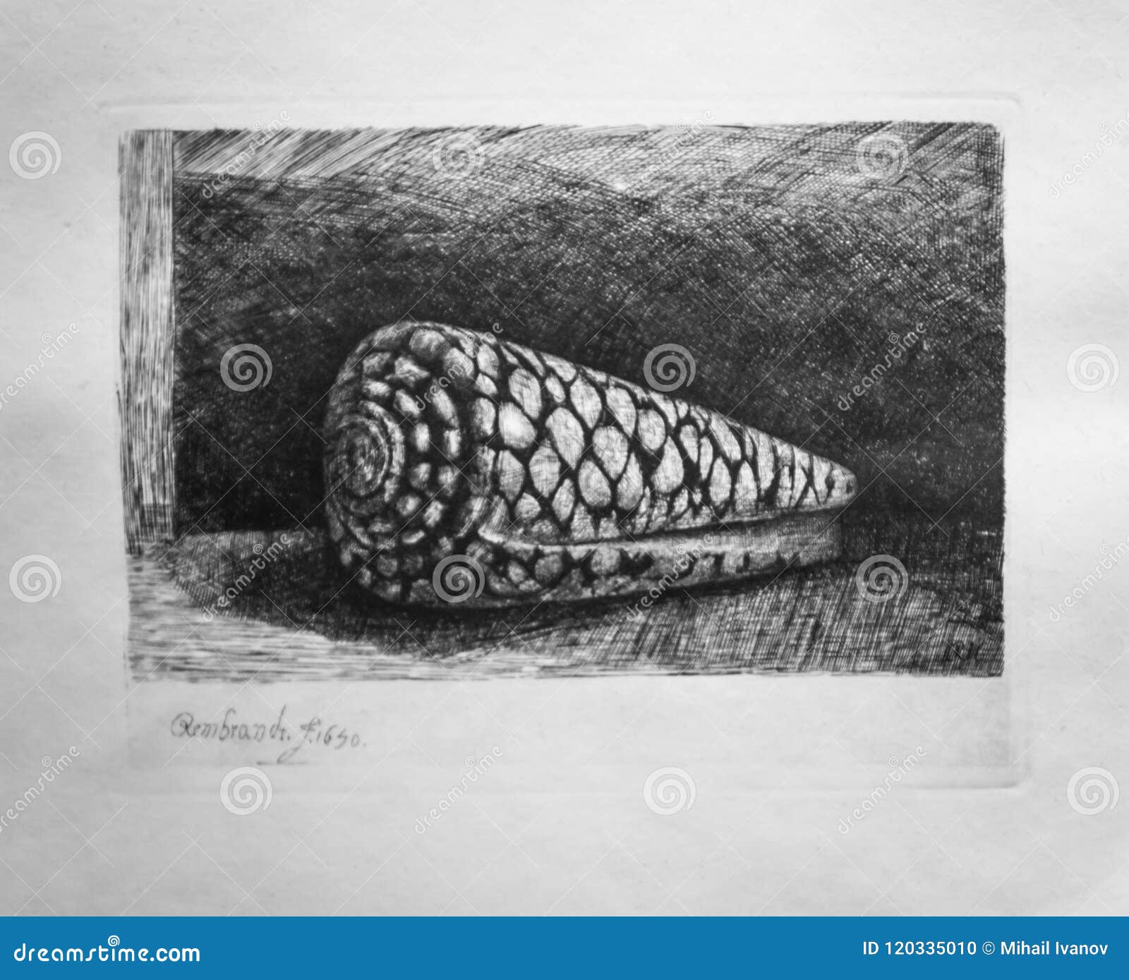 Rembrandt Van Rijn Prints, the Shell Editorial Image - Image of 1665 ...