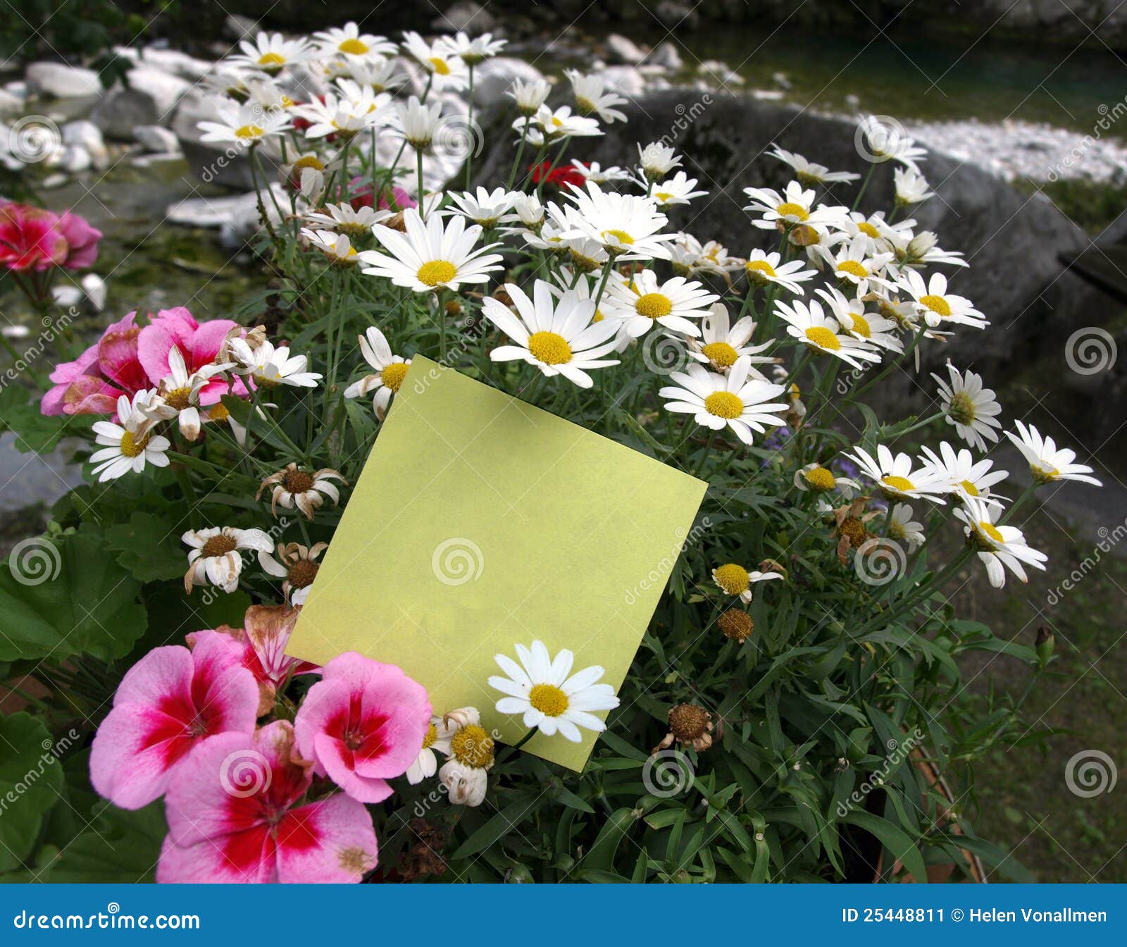 Remember: Post-it note stock image. Image of flowery - 25448811