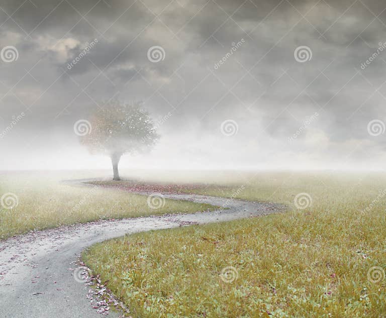 Remembering stock image. Image of grass, evocative, nature - 35093477