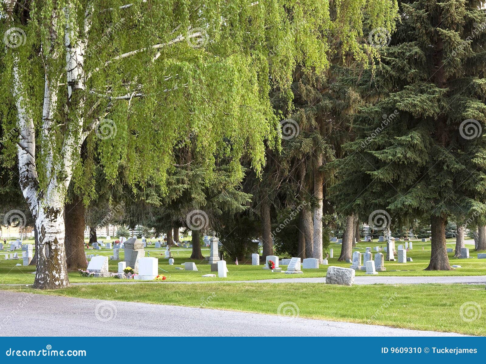 Remembrance stock photo. Image of graveyard, funeral, faith - 9609310