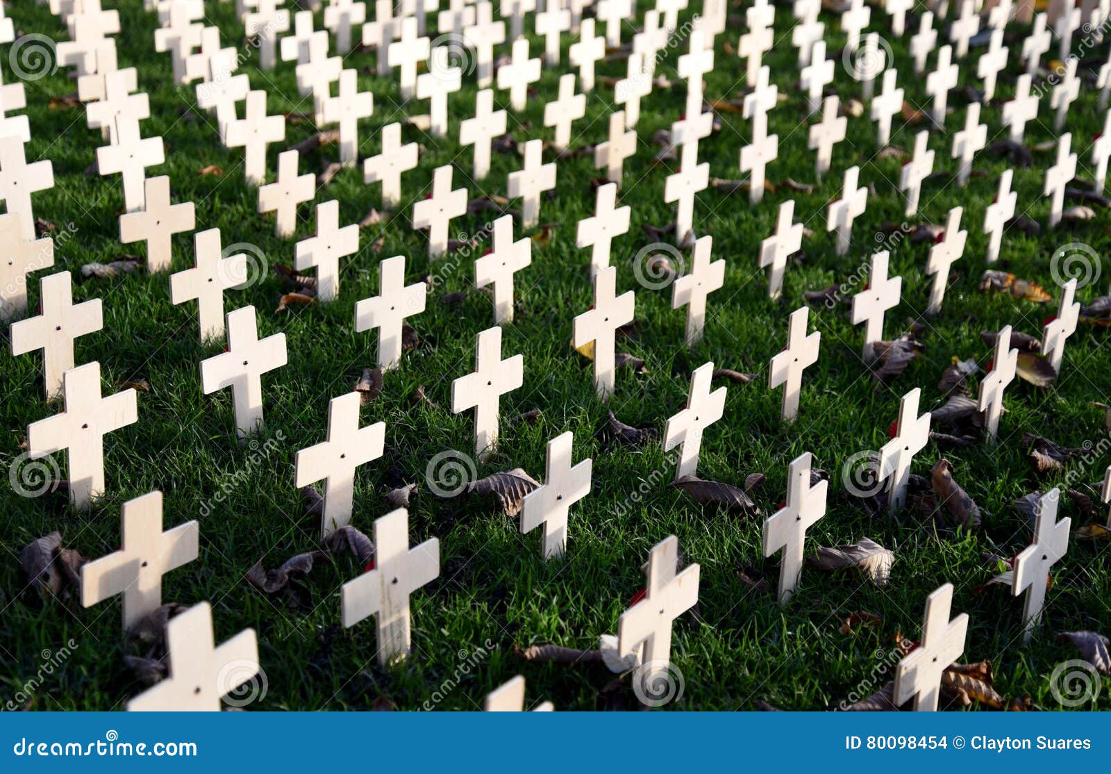 Remembrance Day Garden Crosses Stock Photo - Image of anzac, soldier ...
