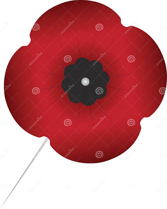 Remembrance Day Poppy stock vector. Illustration of november - 20731699
