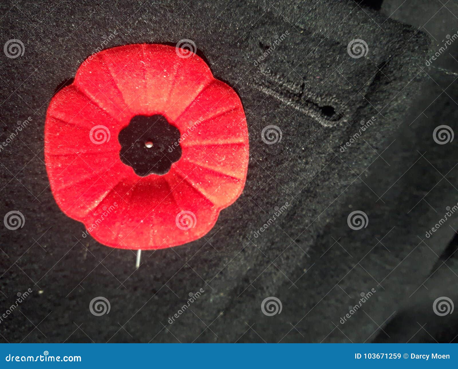 Remembrance Day poppy stock image. Image of coat, poppy - 103671259