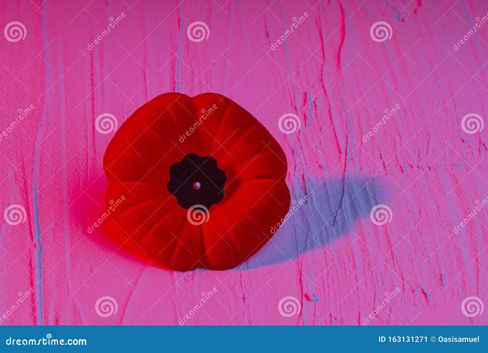 Remembrance Day Poppy Flower with a Red Light Stock Image - Image of ...
