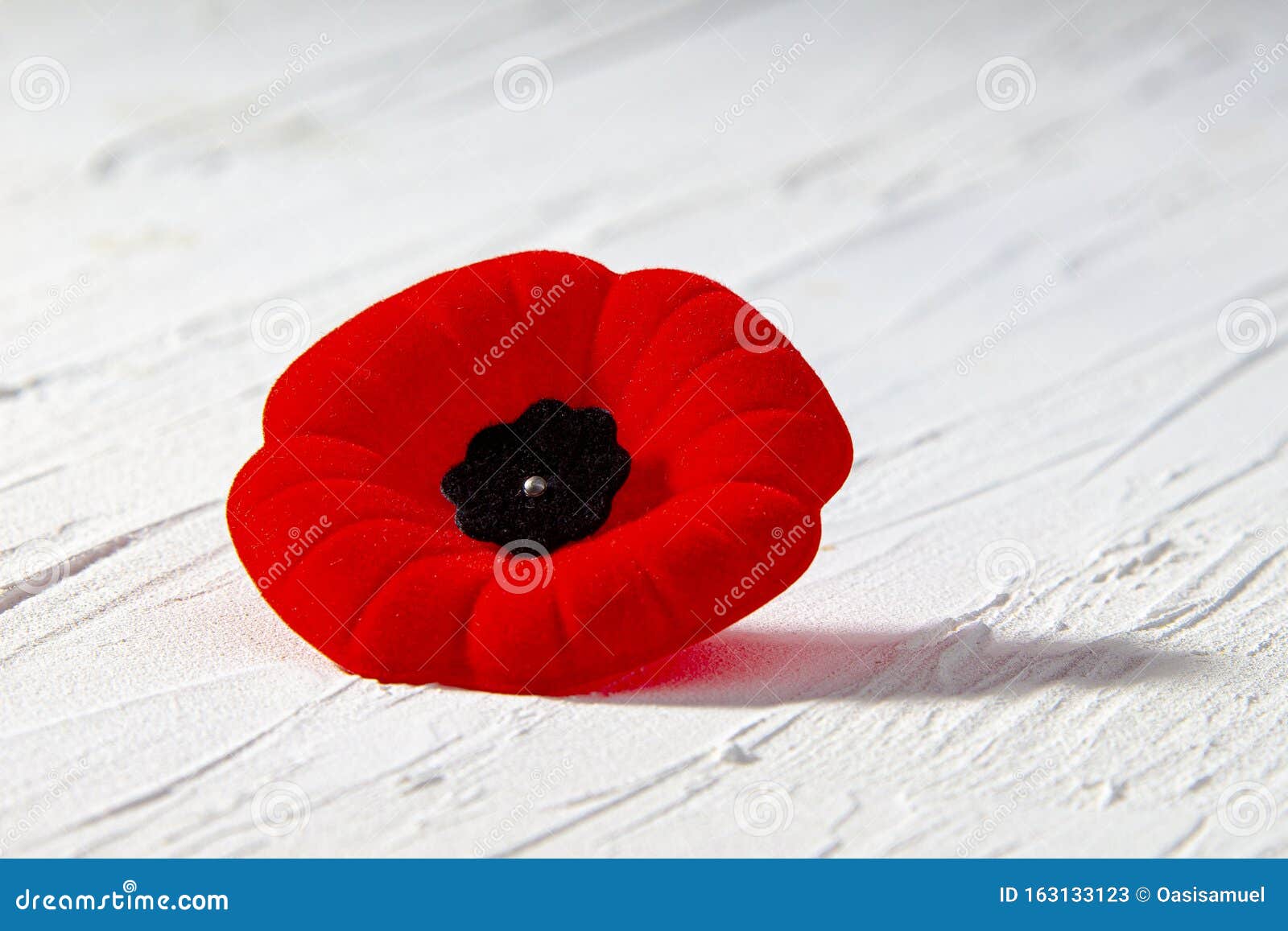 Remembrance Day Poppy Flower with a Shadow Stock Image - Image of proud ...