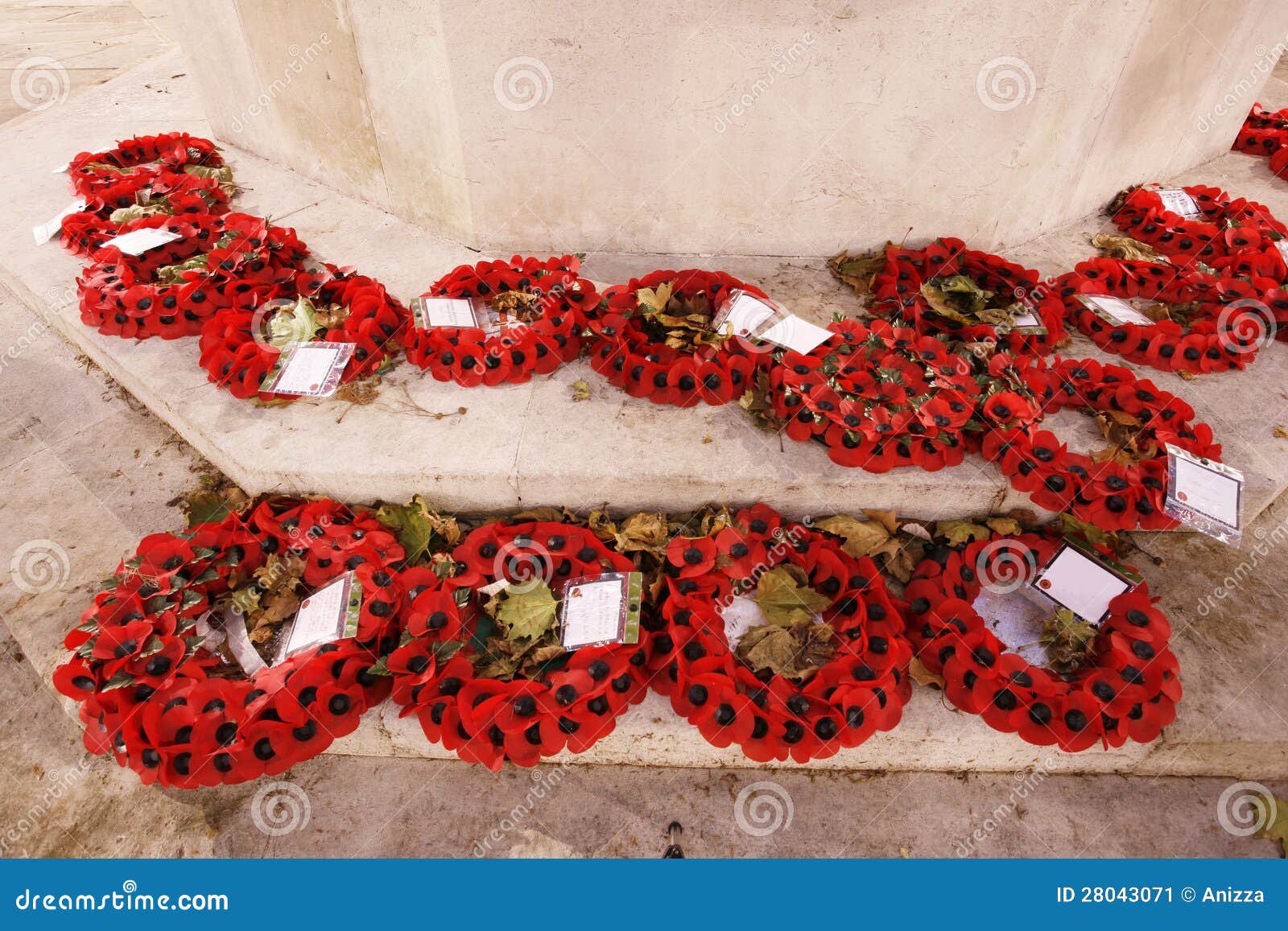 Remembrance poppy stock image. Image of patriot, prayer - 28043071