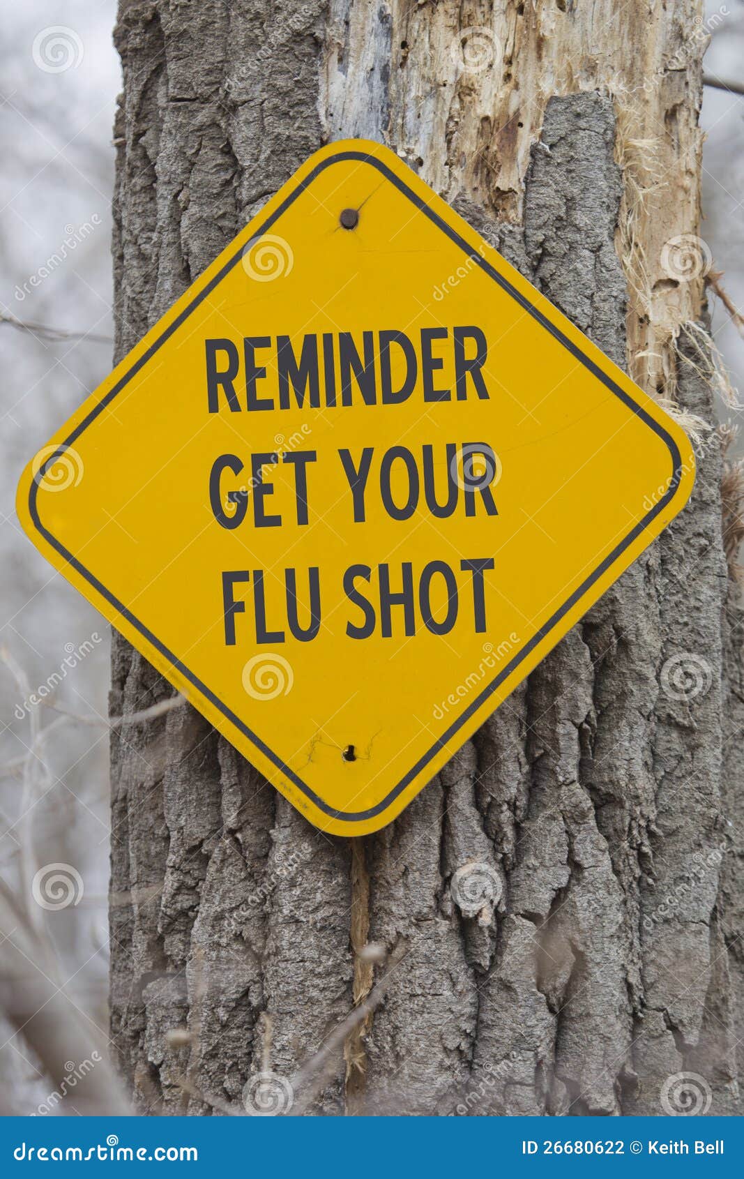 Reminder Get Your Flu Shot Sign Stock Photo - Image of black, influenza ...