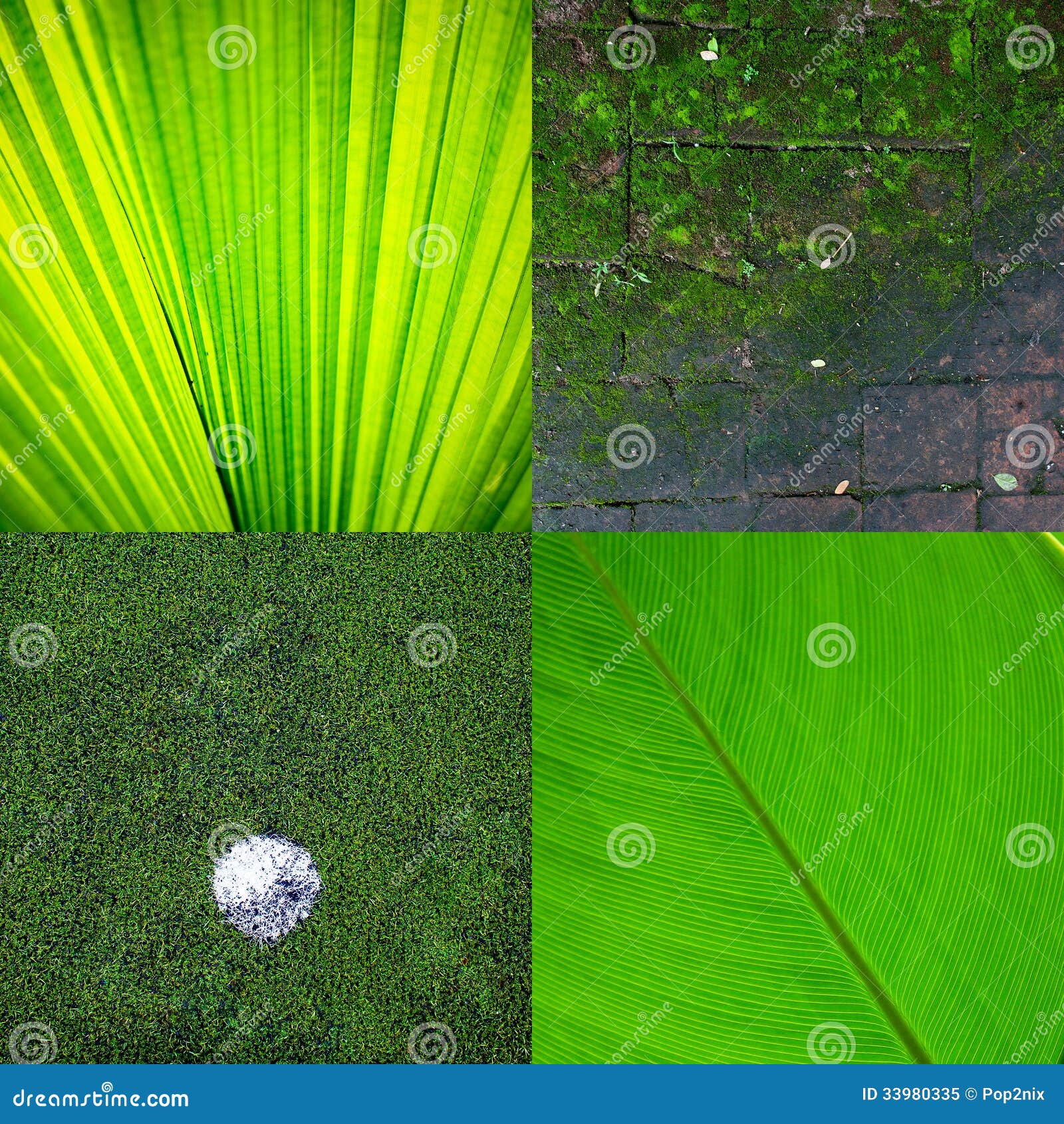 Remix Green Eco Texture Background Stock Image - Image of floor, field ...