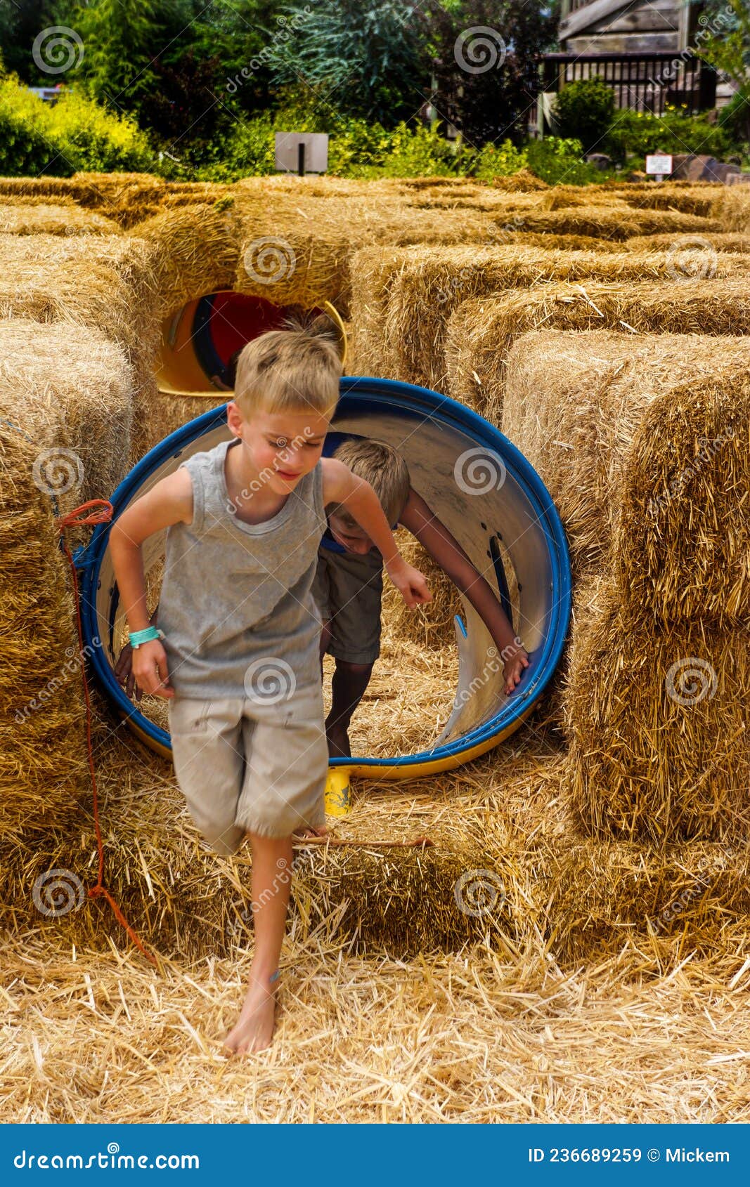 Children Straw Bales Farm stock image. Image of healthy - 236689259
