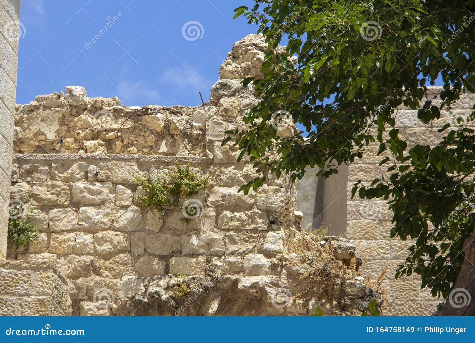 Remnants of an Ancient Wall in Jerusalem Stock Image - Image of tree ...