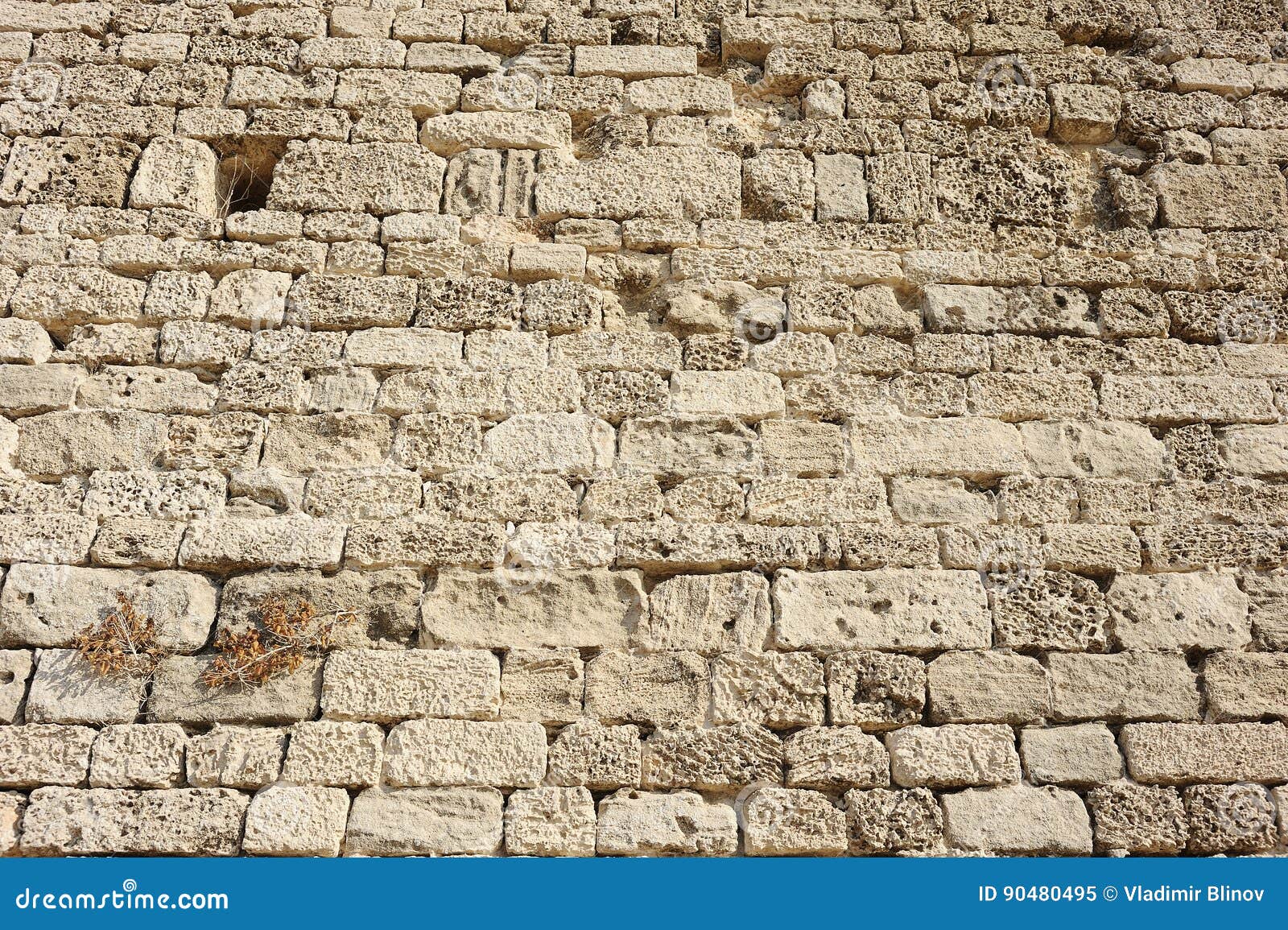 Remnants of the Crusader Structures Stock Image - Image of nature ...