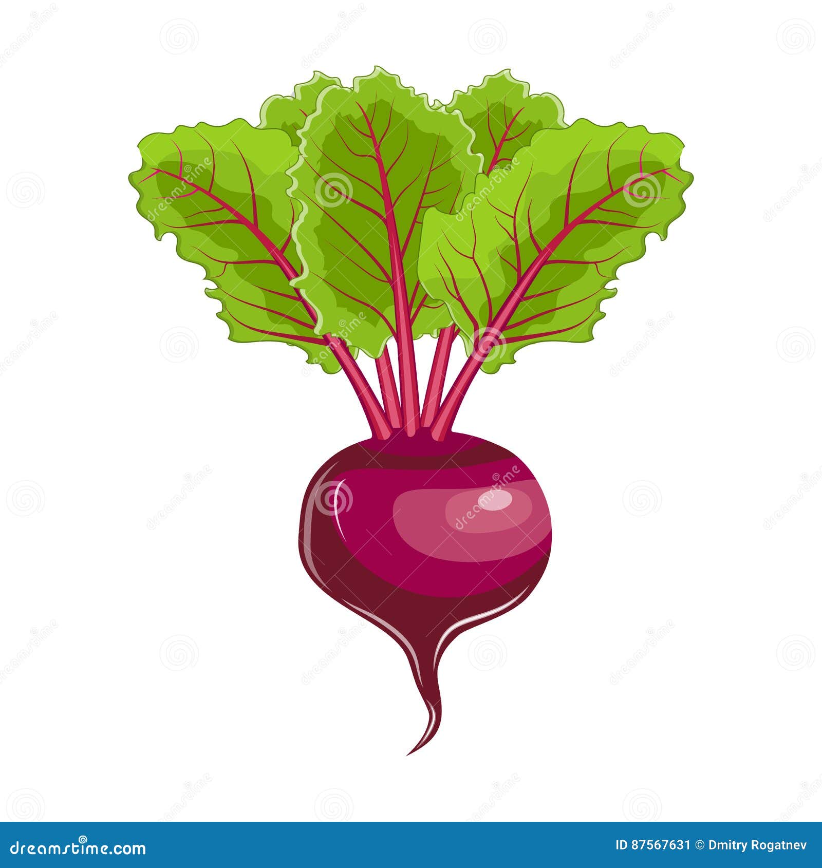 Remolacha Plana Del Icono Con Las Hojas Ilustración del Vector ...