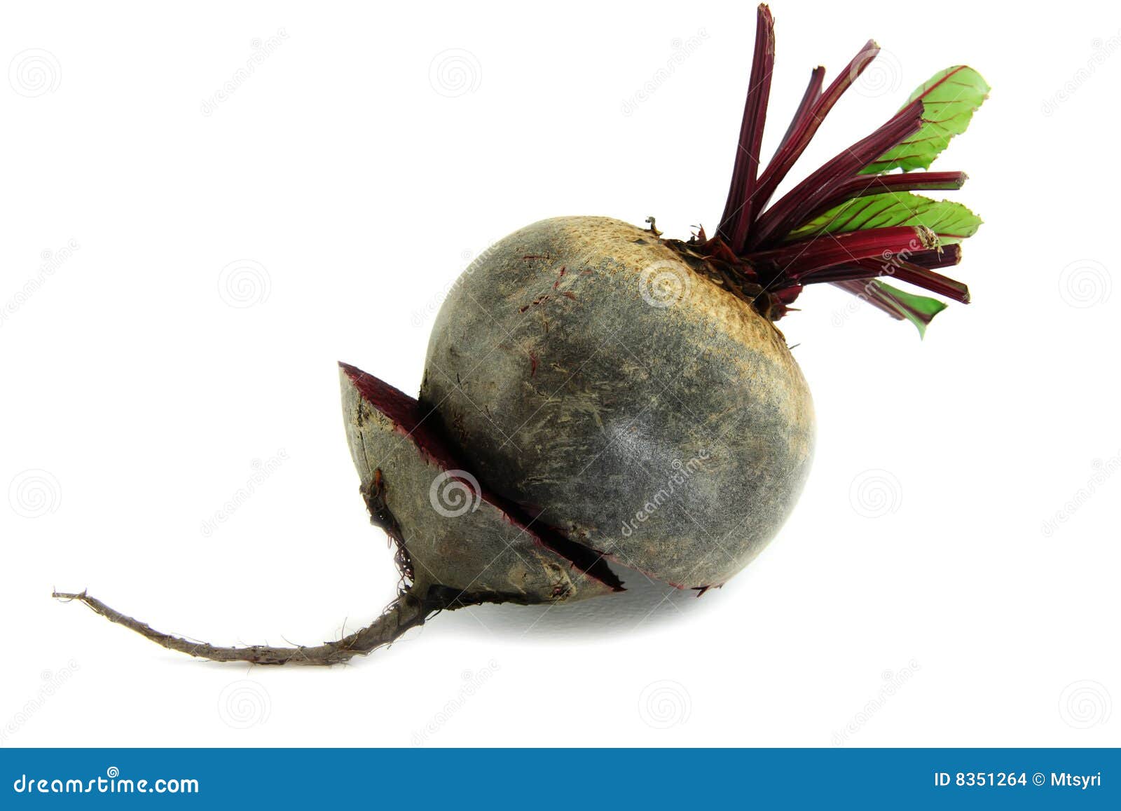 Remolocha Roja (vulgaris Beta) Foto de archivo - Imagen de sano, planta ...