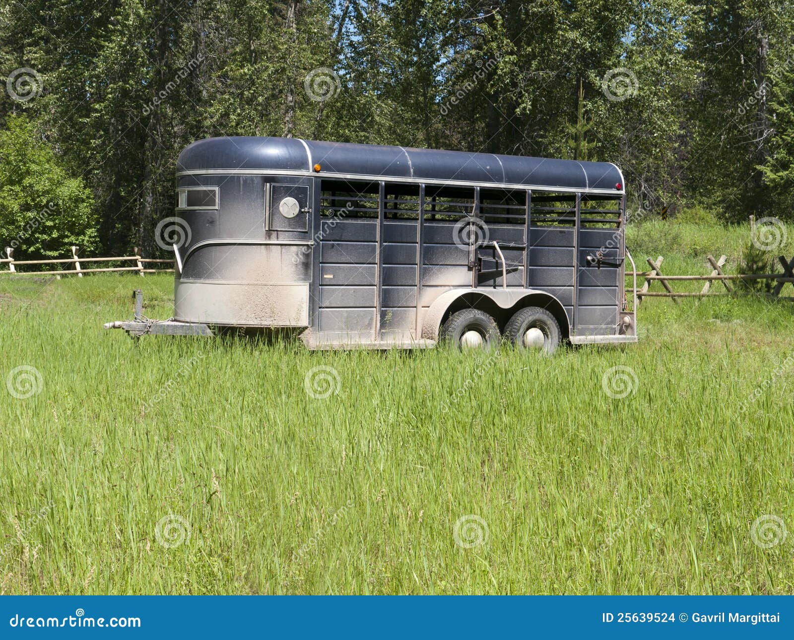 Remorque De Cheval Dans L'herbe Verte Grande Photo stock - Image du ...