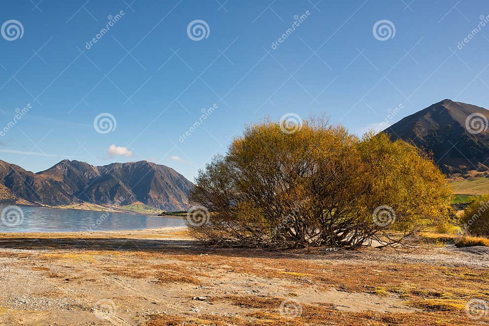Small Georgina Lake Nested in the Canterbury Highlands Stock Image ...