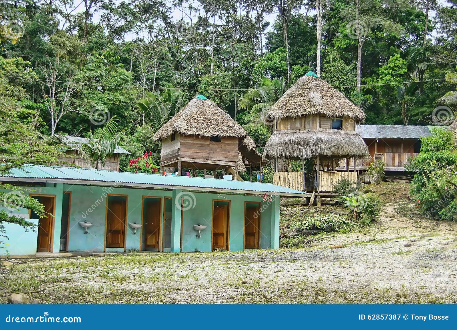 Remote Amazon Jungle Lodging Stock Image - Image of tiki, rainforest ...