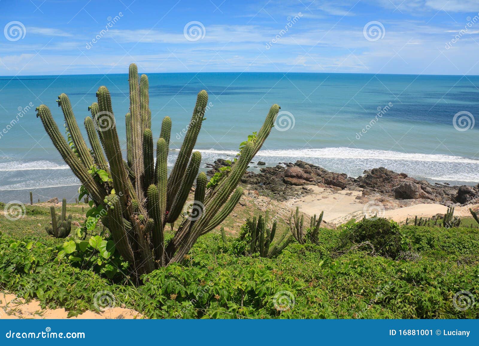 Remote Beach in Brazil stock image. Image of tranquil - 16881001