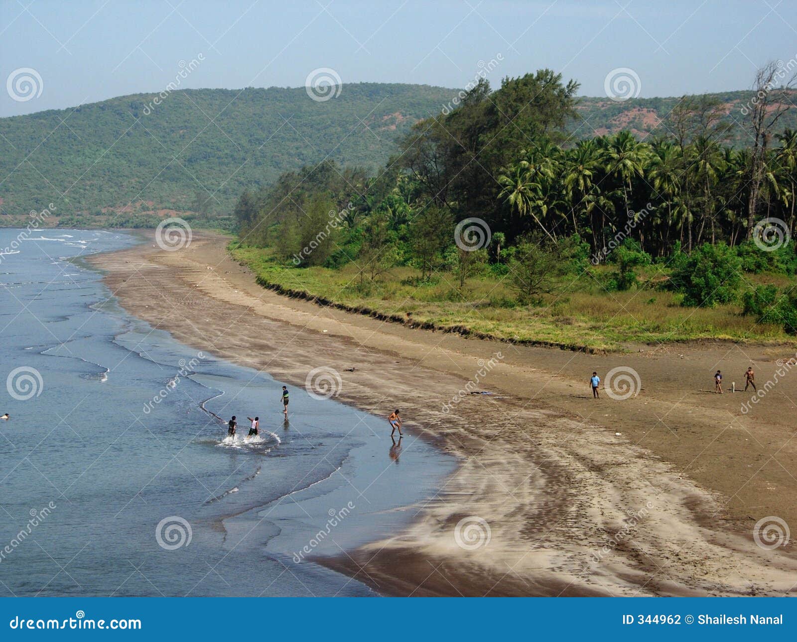 A remote beach in India stock photo. Image of bank, palm - 344962
