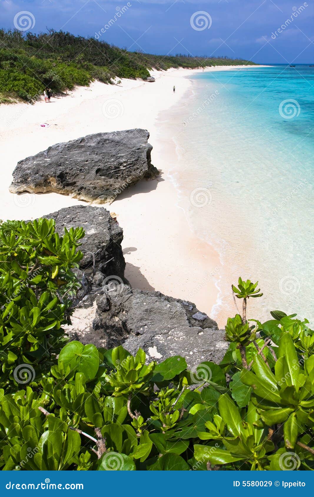 Remote beach in Japan stock image. Image of pacific, resort - 5580029