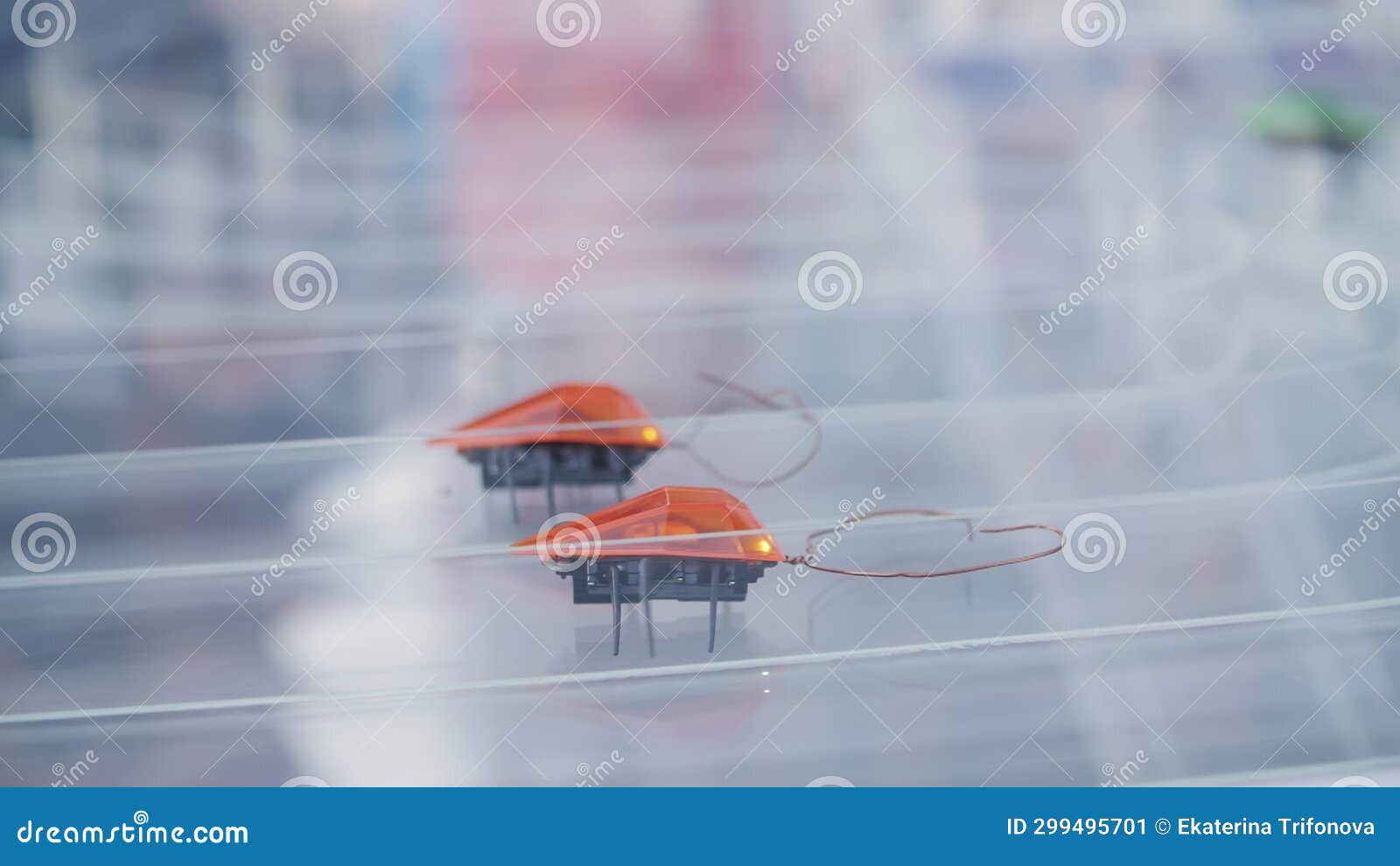 Remote-controlled Robotic Bug Walks through a Maze, Side View Stock ...